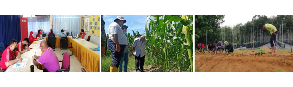 ENG | Baling | APPGM-SDG